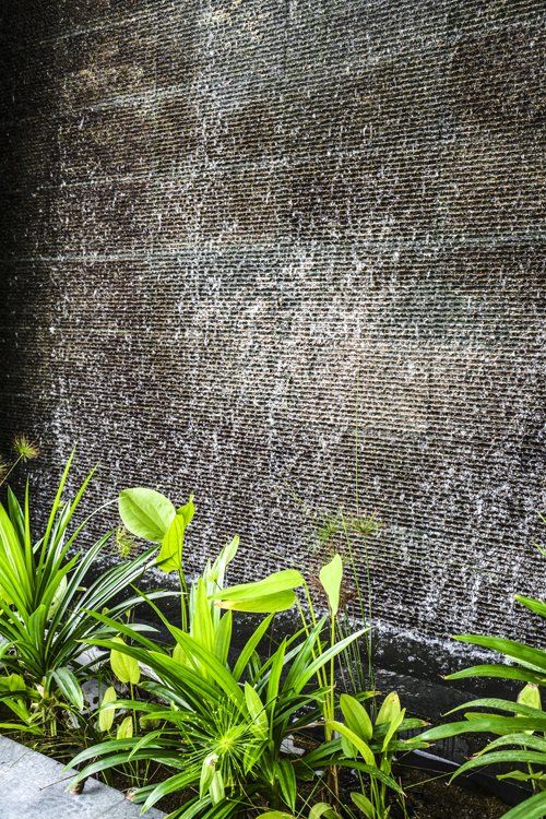 CleanTech Two @ CleanTech Park - Level 4 Roof Top Garden