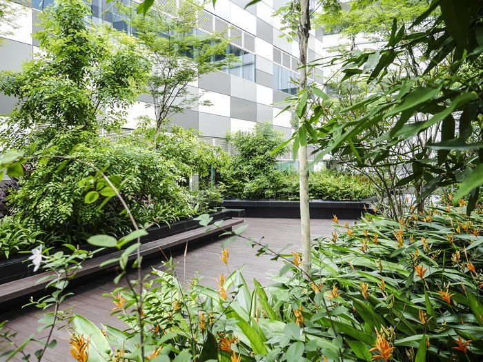 CleanTech Two @ CleanTech Park - Level 4 Roof Top Garden