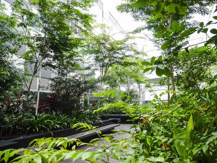 CleanTech Two @ CleanTech Park - Level 4 Roof Top Garden