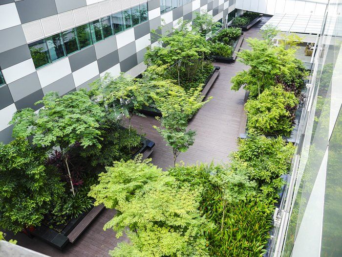 CleanTech Two @ CleanTech Park - Level 4 Roof Top Garden