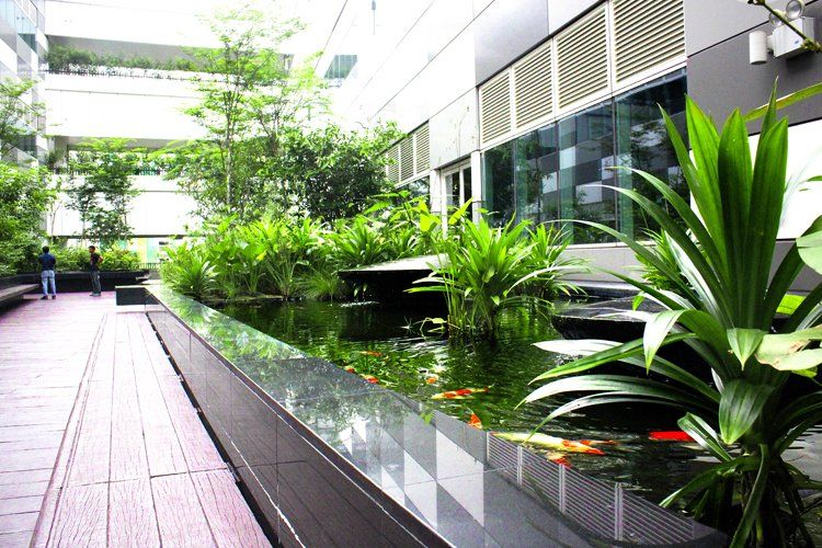 CleanTech Two @ CleanTech Park - Level 4 Roof Top Garden