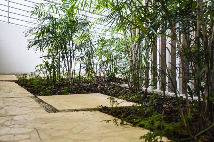 CleanTech Two @ CleanTech Park - Level 4 Roof Top Garden