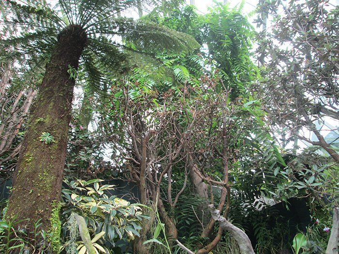 Cool Moist Conservatory, Garden by the Bay Proprietary Vertical Organic ...