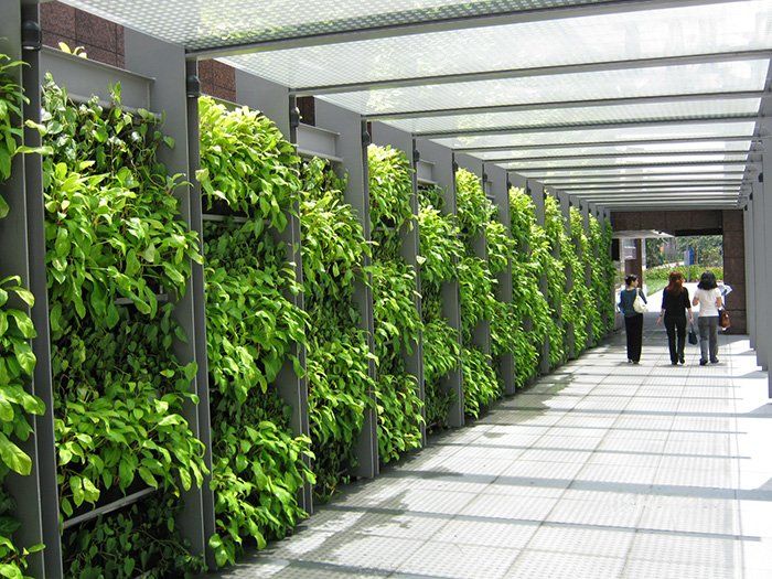 78 Shenton Way South Tower - Proprietary Modular Greenwall Panel System