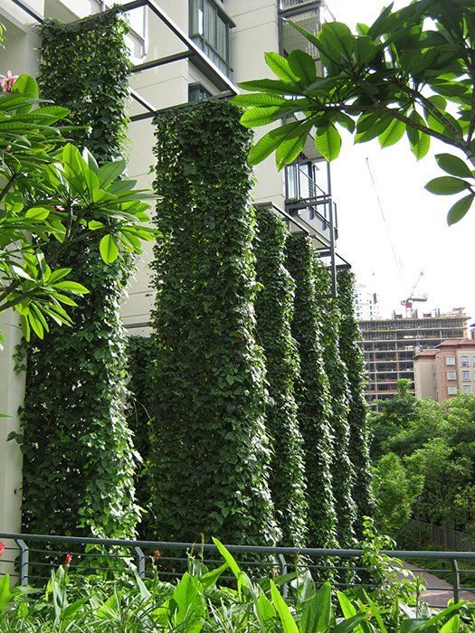 Park Hotel Alexandria - Proprietary freestanding modular green wall system