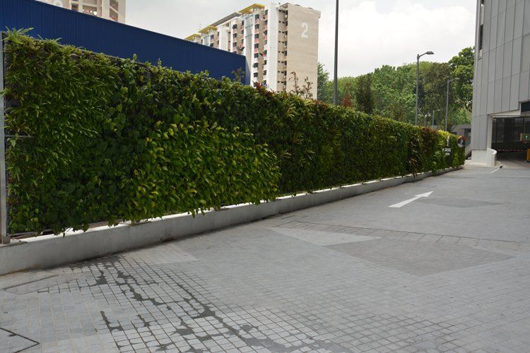 Park Hotel Alexandria - Proprietary freestanding modular green wall system