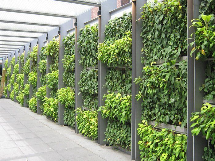 The Luxurie - Proprietary Modular Greenwall Panel System