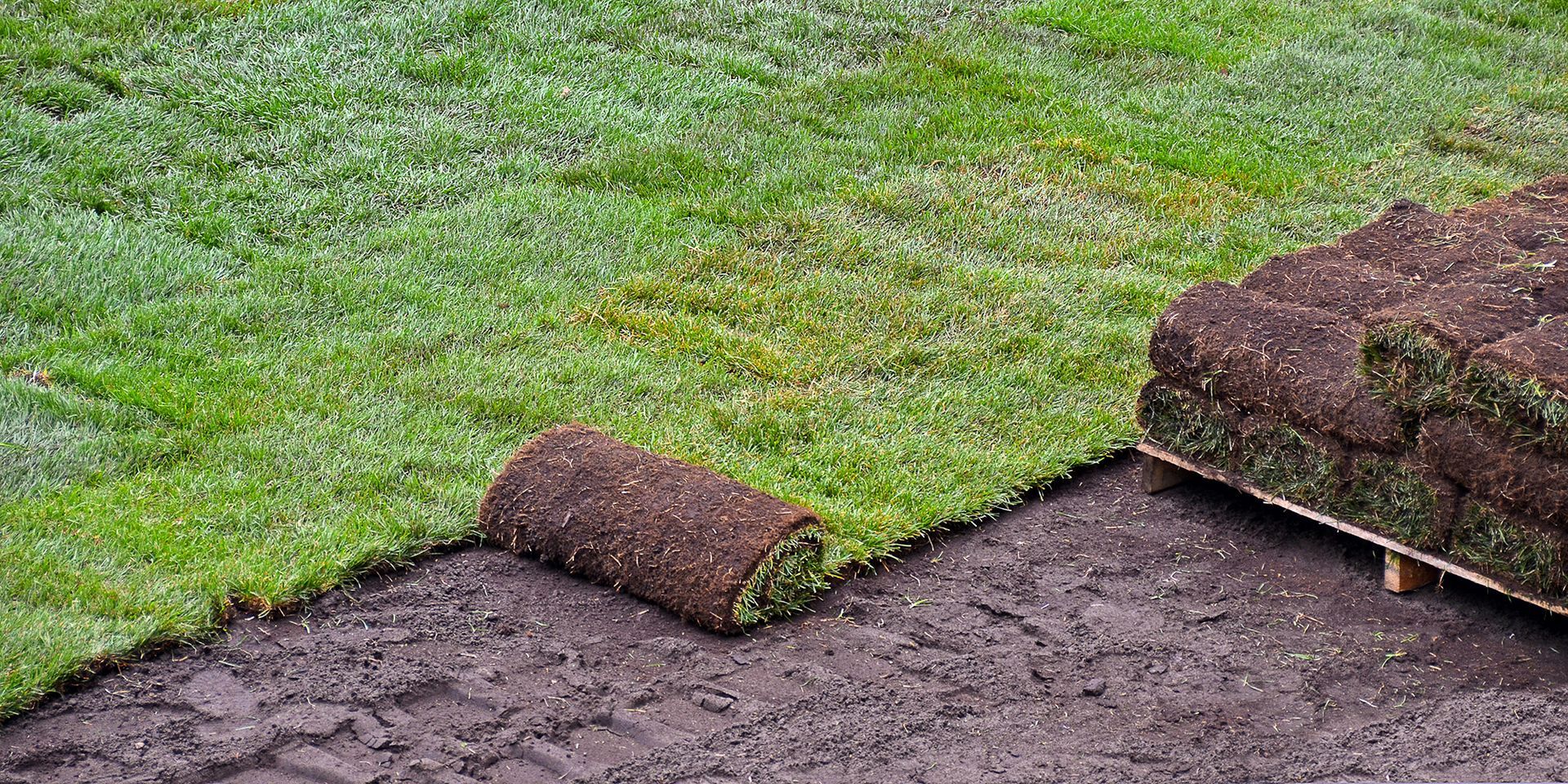 When Is the Best Time to Lay Sod in Rhode Island?