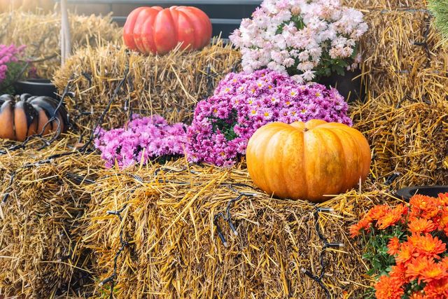 Fall Landscaping Ideas Fall Landscape Ideas In Mid MO | Boulder Creek