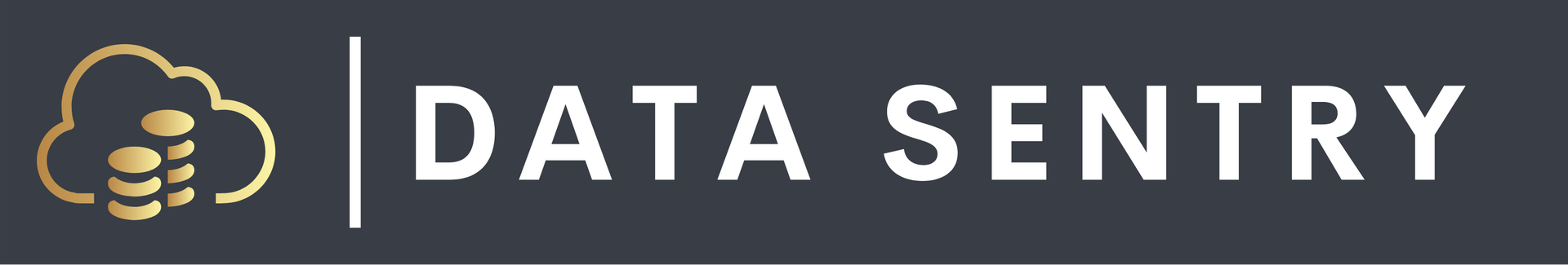 Data Sentry small business cyber security