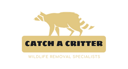 Welcome to Catch A Critter - Wildlife Removal Specialists