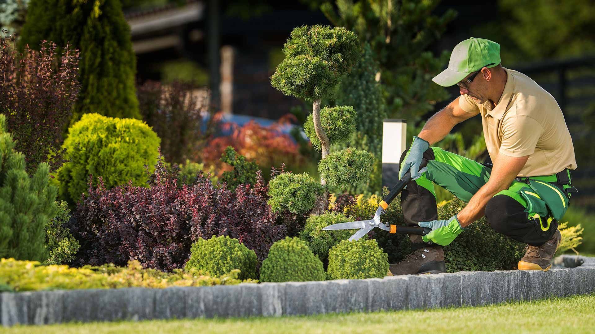 How Landscape Maintenance Contracts Can Enhance Your Property Value