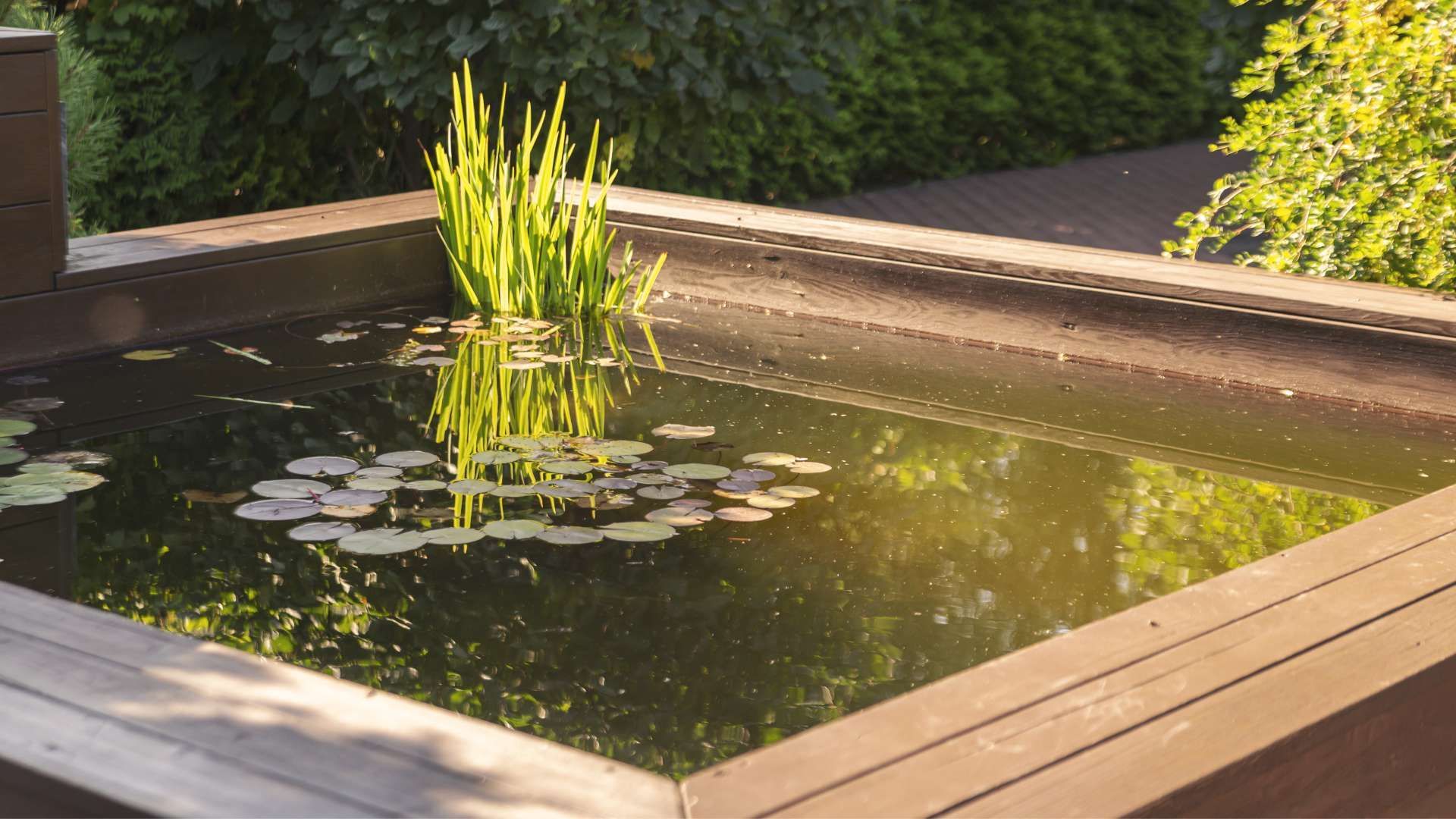 Choosing the Perfect Pond Shape: A Guide to Enhancing Your Landscape