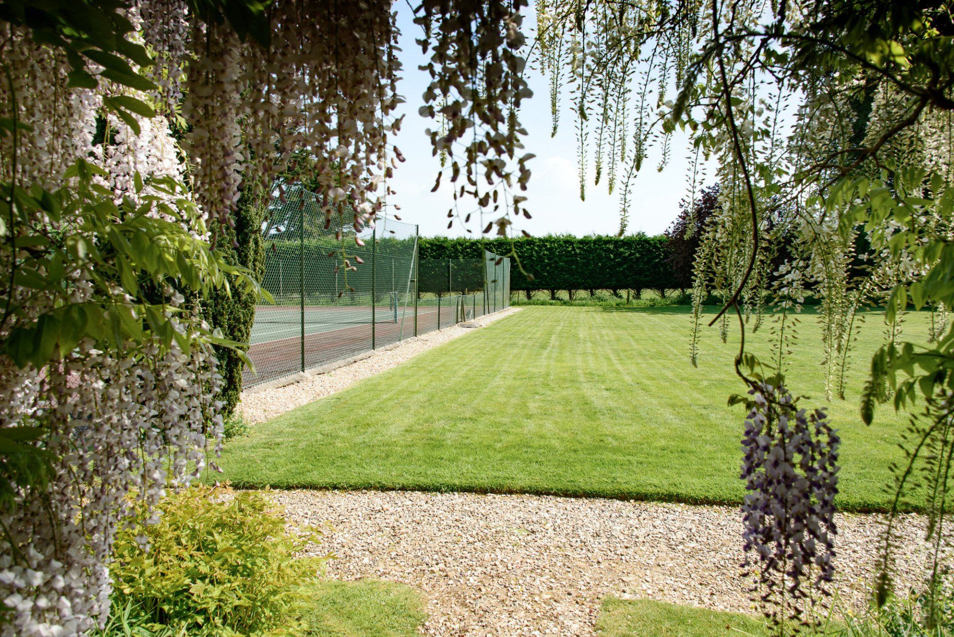 Home [littlecourt.net]