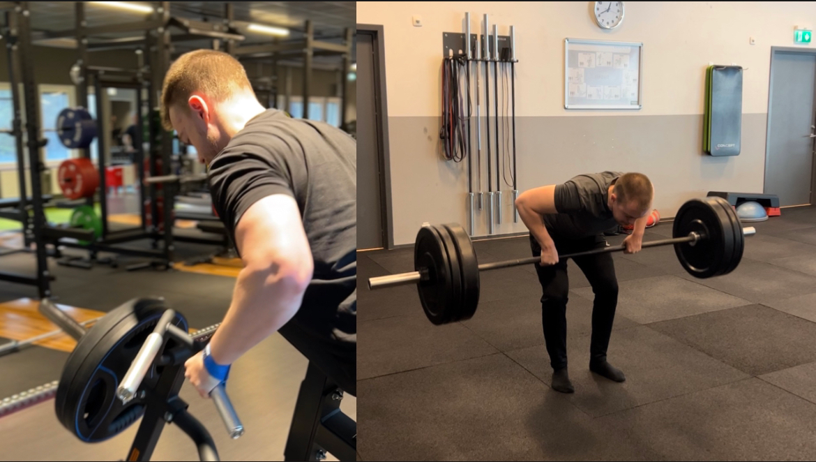 Free weight row vs chest supported row