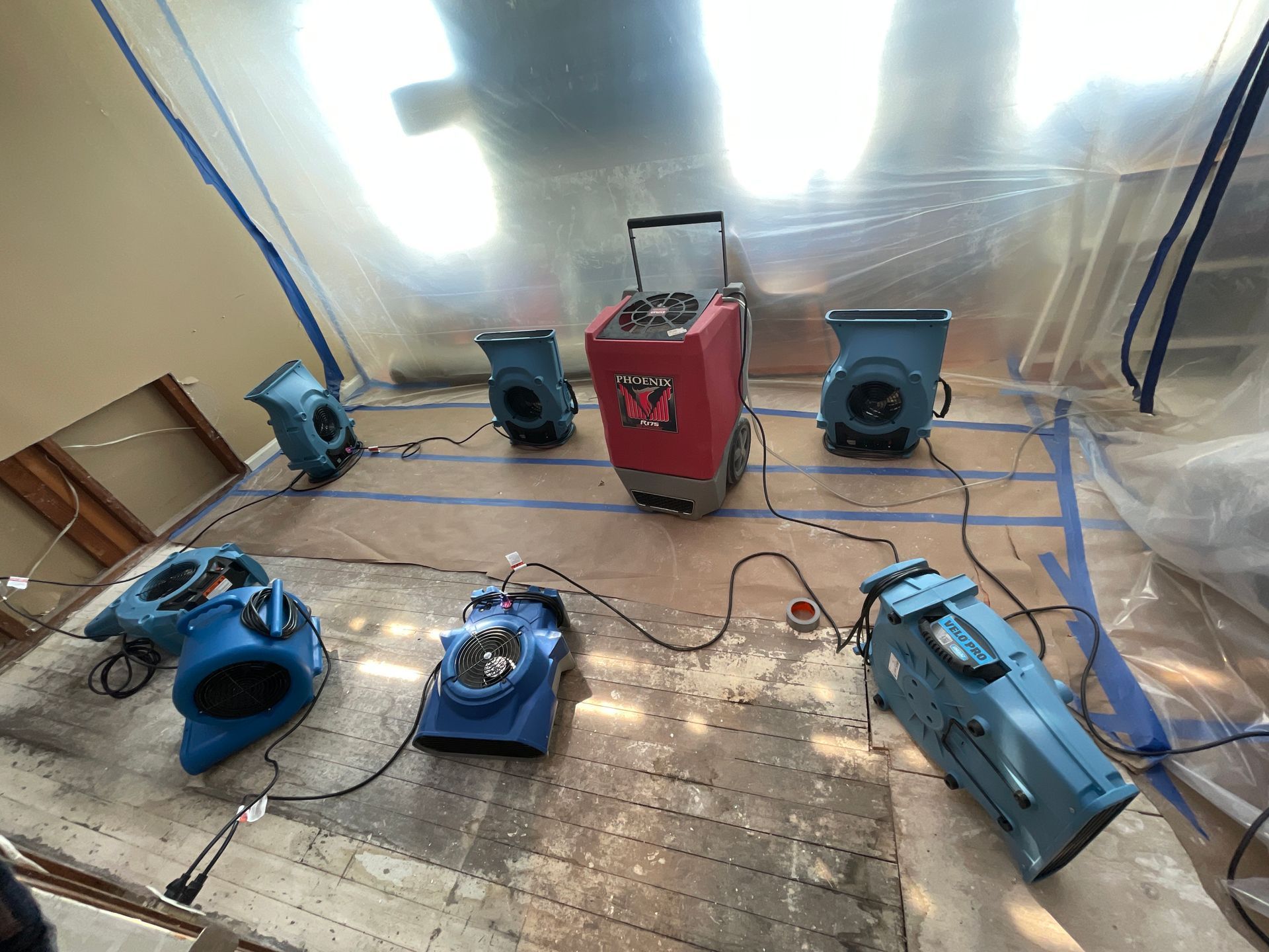 The Importance of Quick Water Damage Response