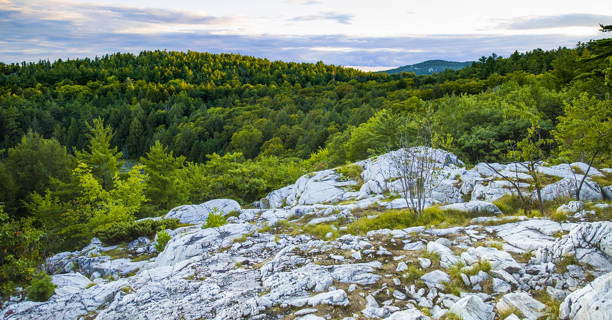 Hardy Lee Funeral Home | Harriston, ON