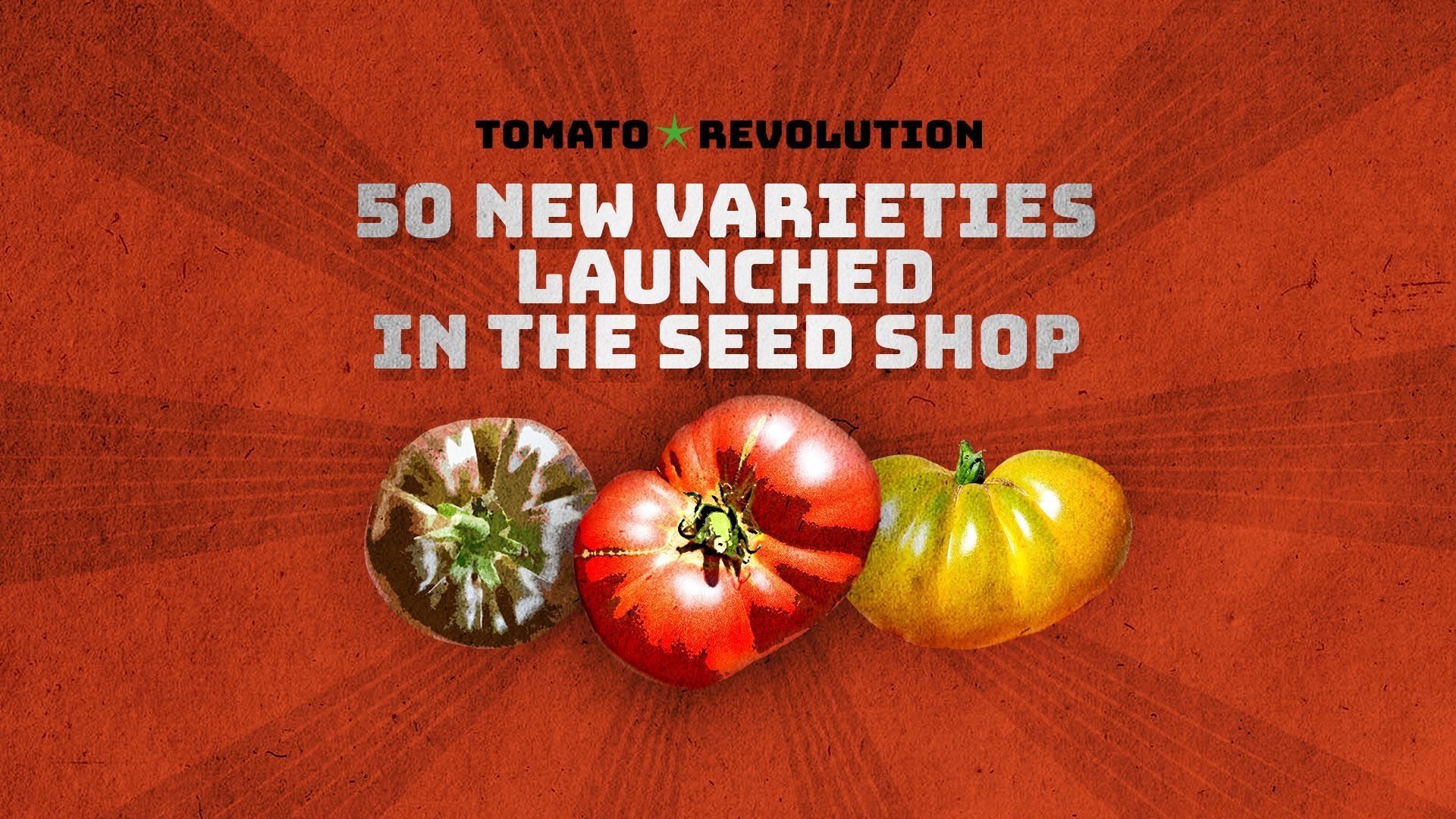 Tomato Revolution