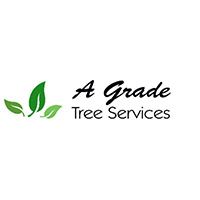 Tree Removal in Burpengary | A Grade Tree Services