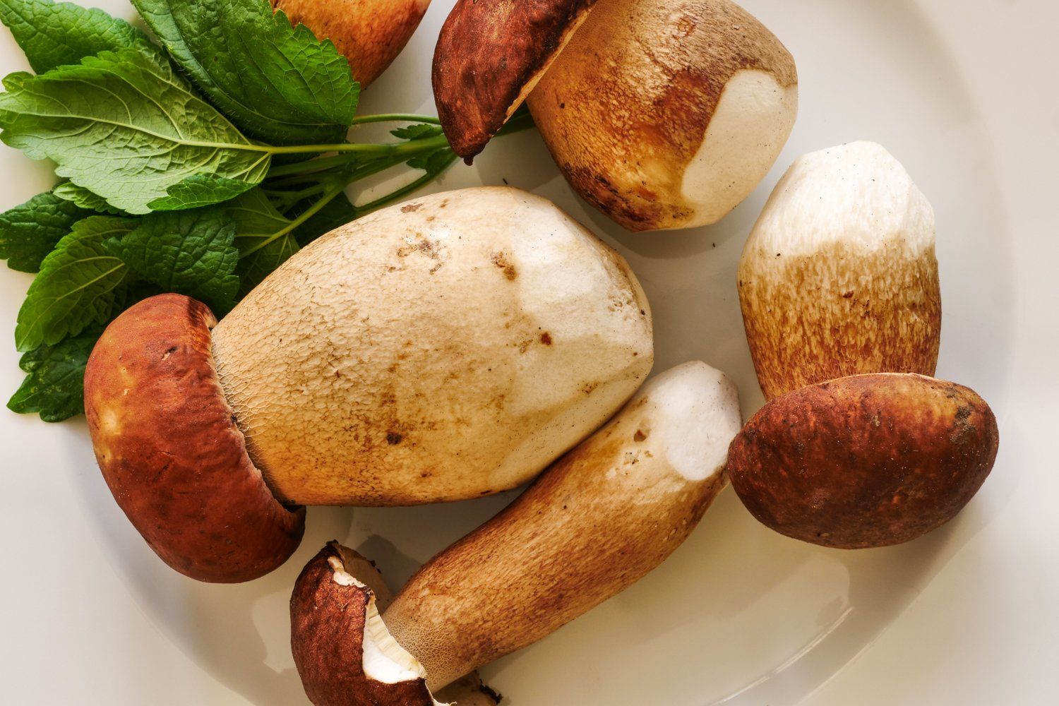 Pietanze tradizionali | Miasino, NO | Ristorante Antico Agnello