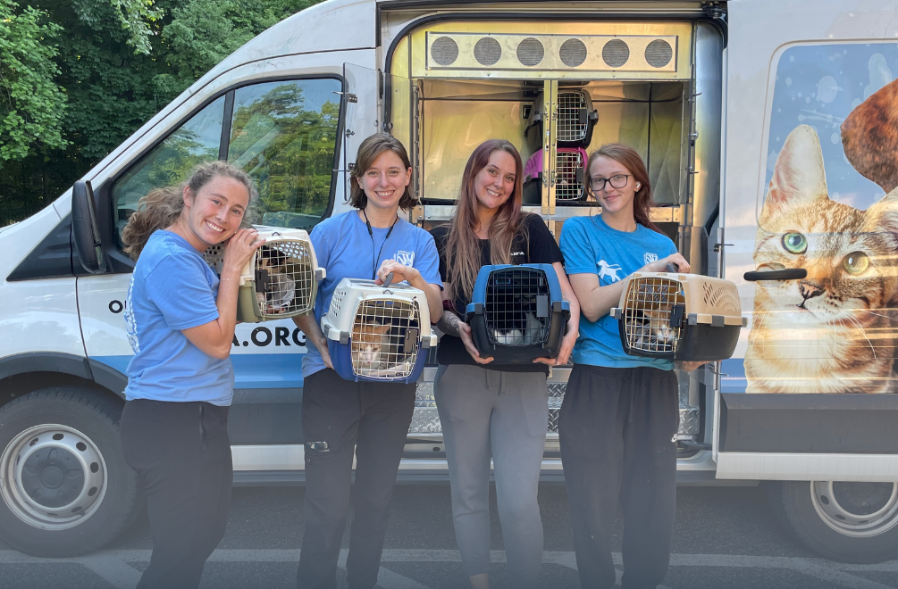 How Our Shelter’s TNVR Program Made Room for Hope