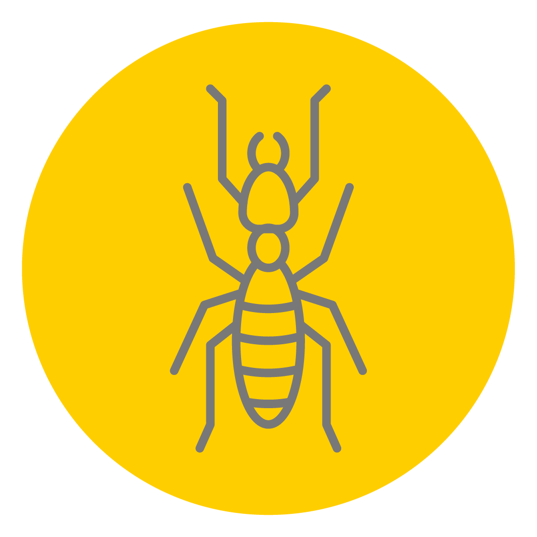 Pest Control Outer Banks NC & Hampton Roads VA | Four Seasons Pest Control