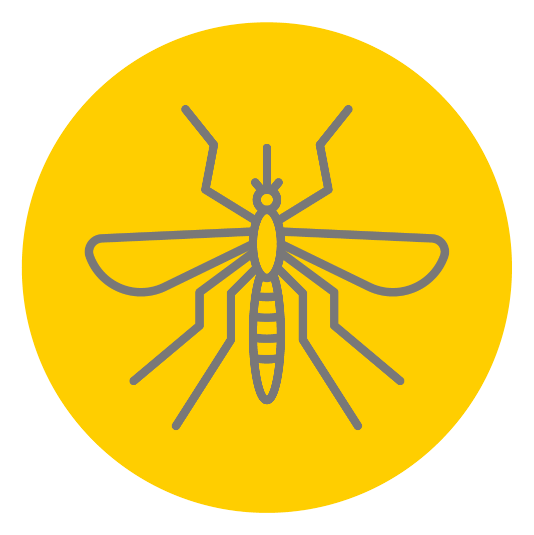 Pest Control Outer Banks NC & Hampton Roads VA | Four Seasons Pest Control