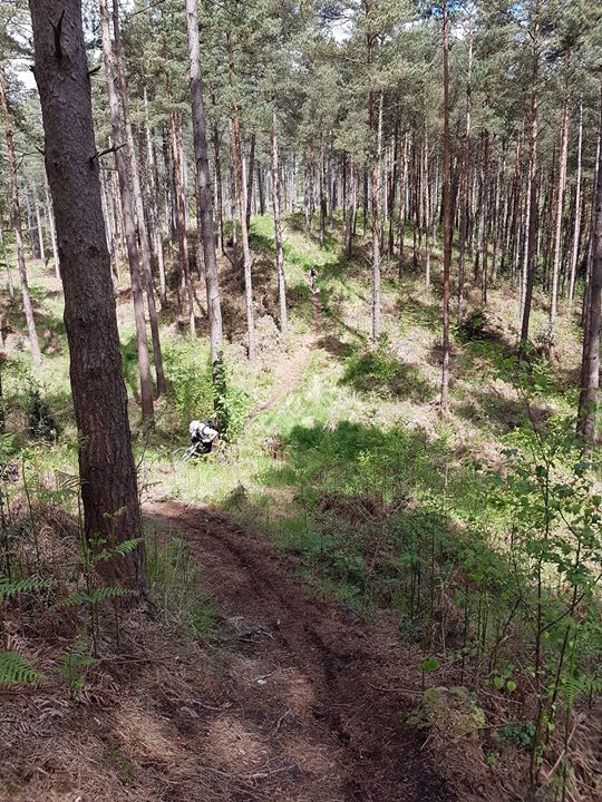 New Forest Mountain Biking Guided Rides and Improvers Skills