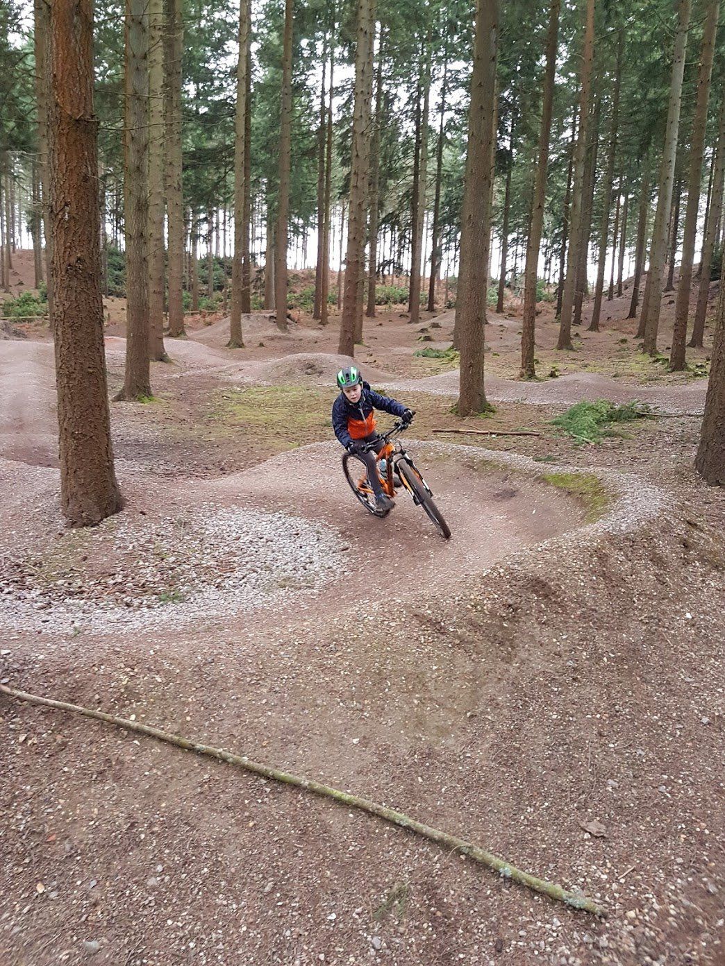 New Forest Mountain Biking Guided Rides and Improvers Skills
