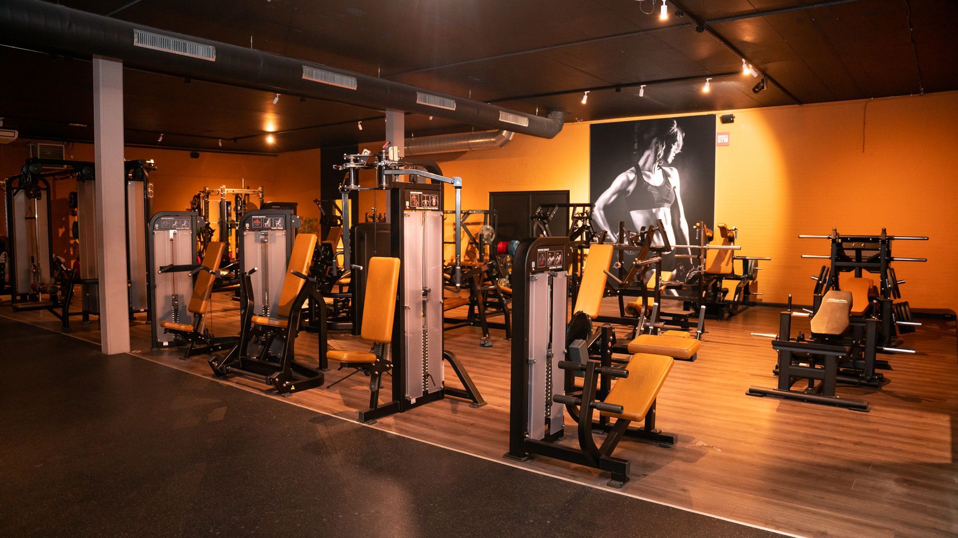 E-Gym | Daniels Premium