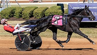 Walner Payton shines in International Stallion Stakes