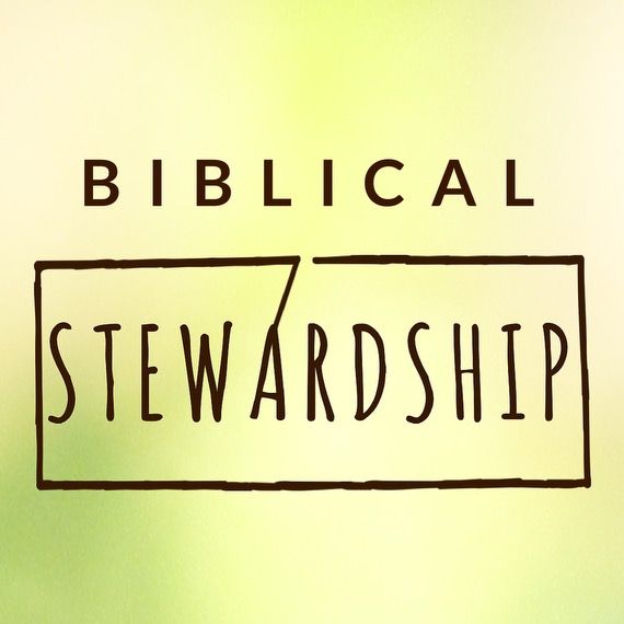 3 Stewardship E-Book Resources