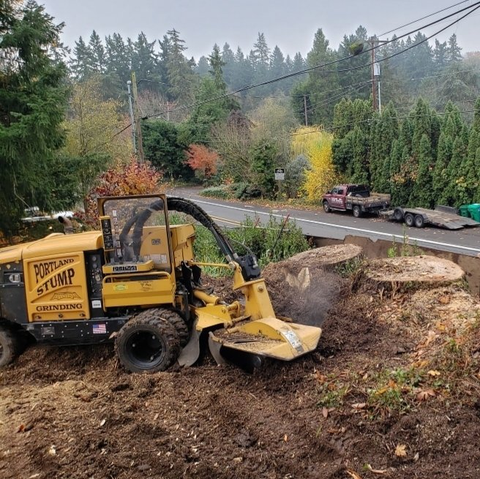 Equipment | Portland Stump Grinding