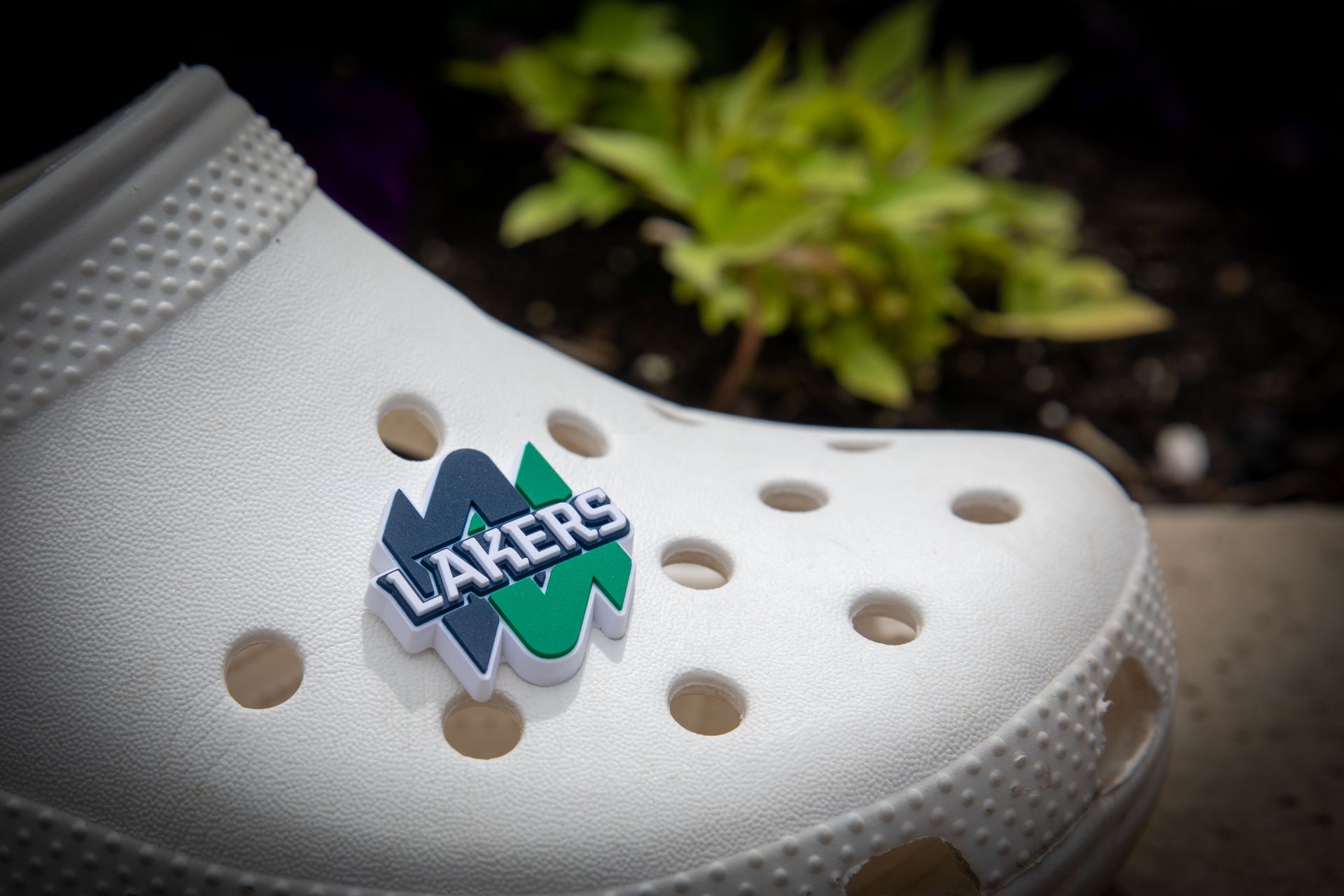 Shop Nipissing University Lakers Gear Online: Support Your University