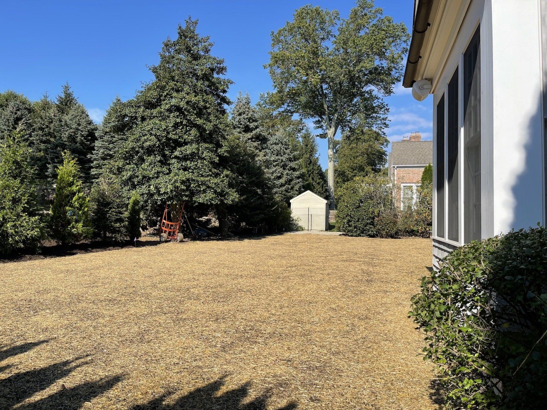 Plant Installation Service Stamford CT, Flower Planting