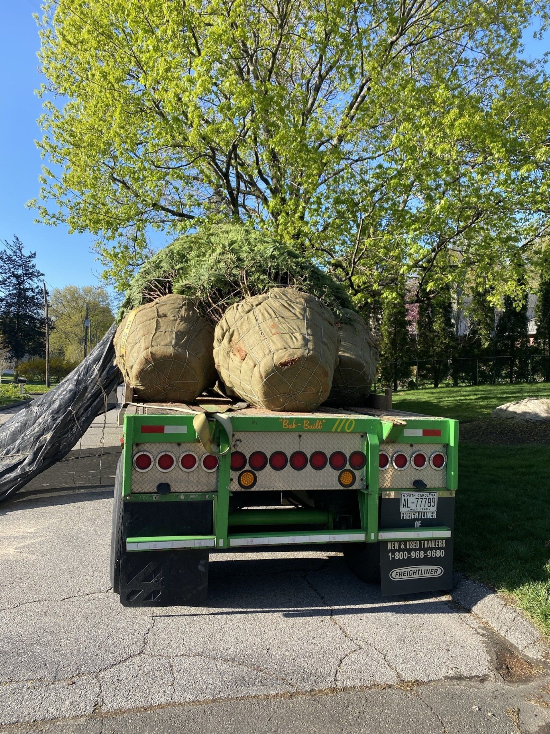 Plant Installation Service Stamford CT, Flower Planting