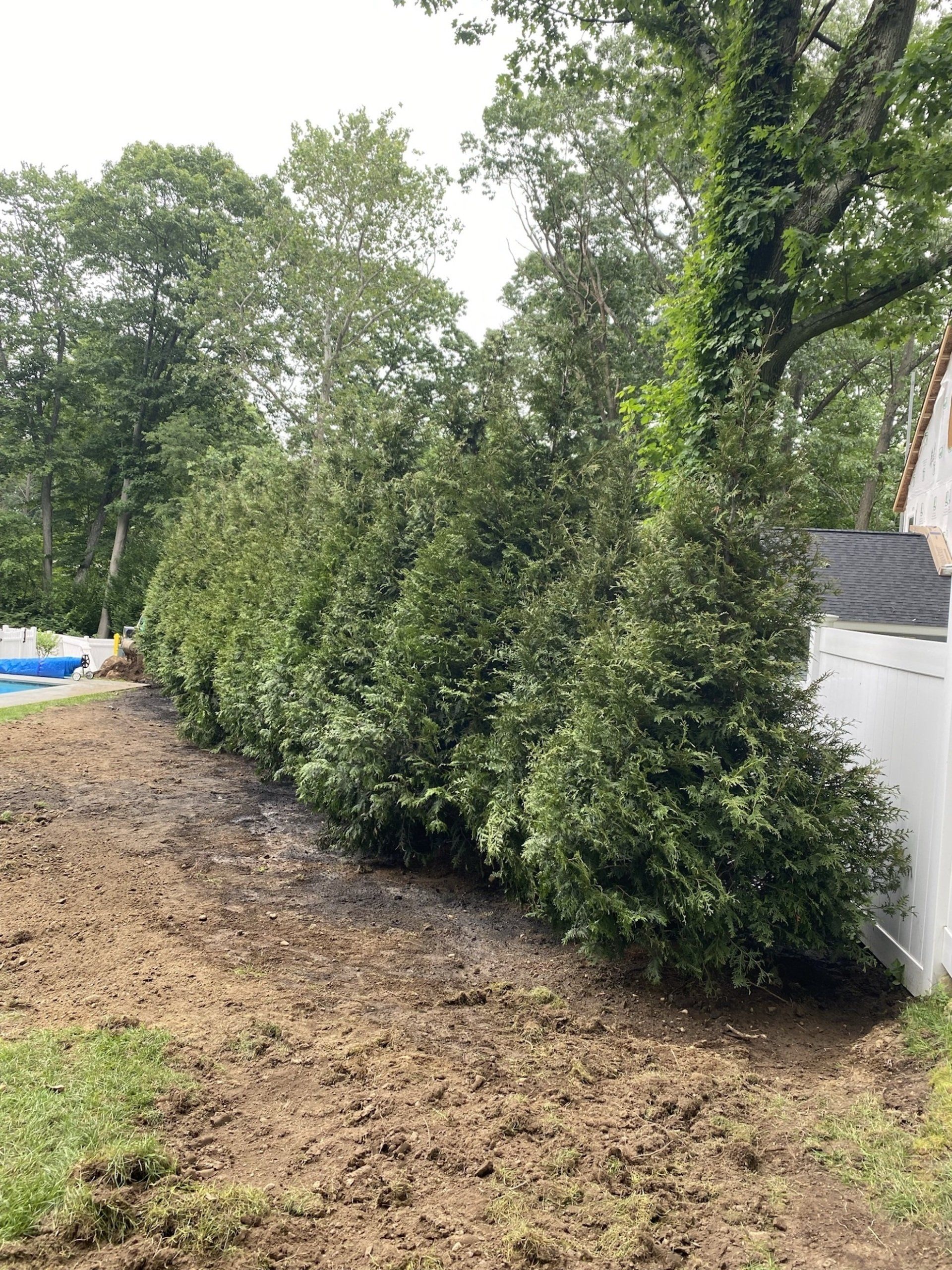 Plant Installation Service Stamford CT, Flower Planting