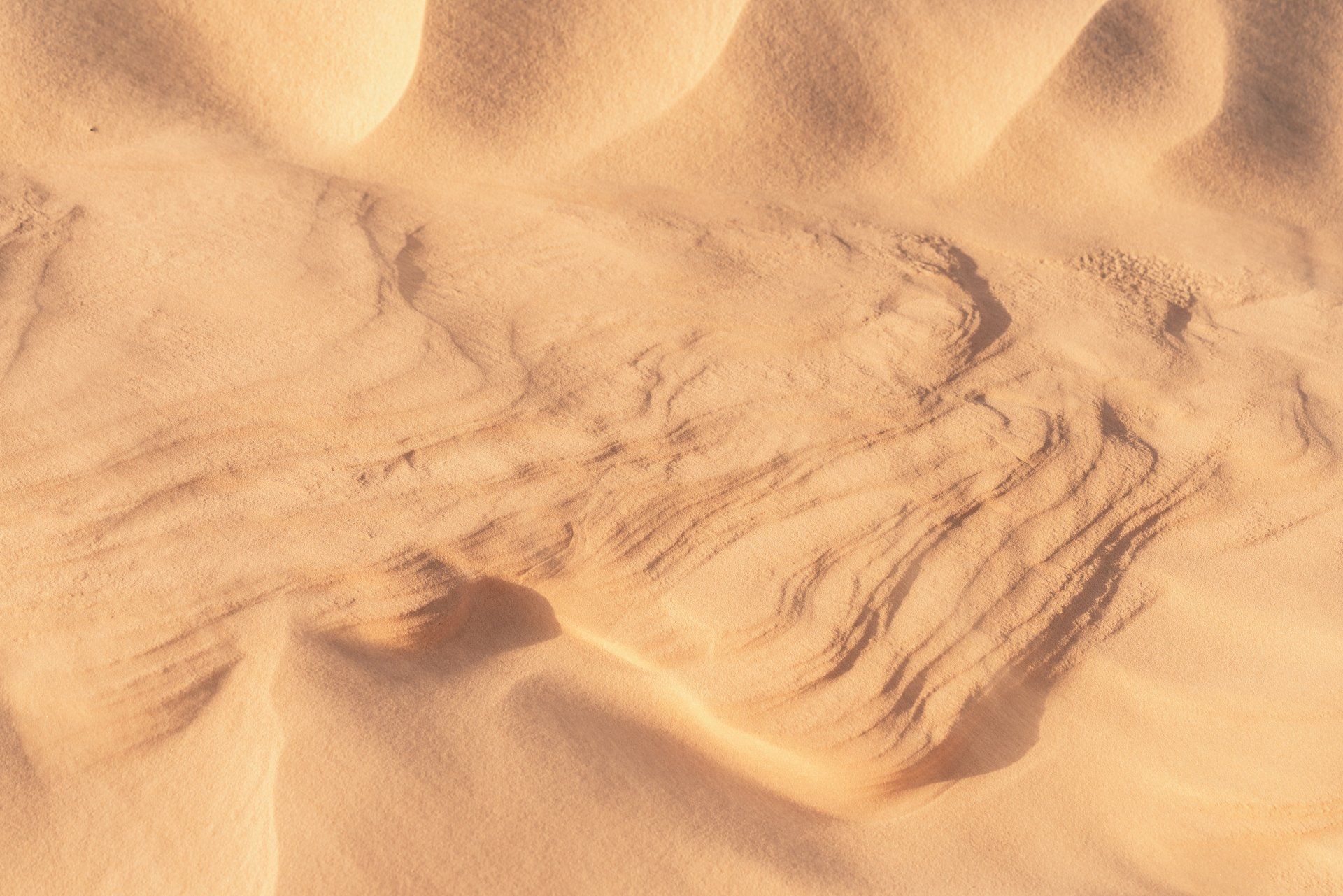 White glove WEEE logistics