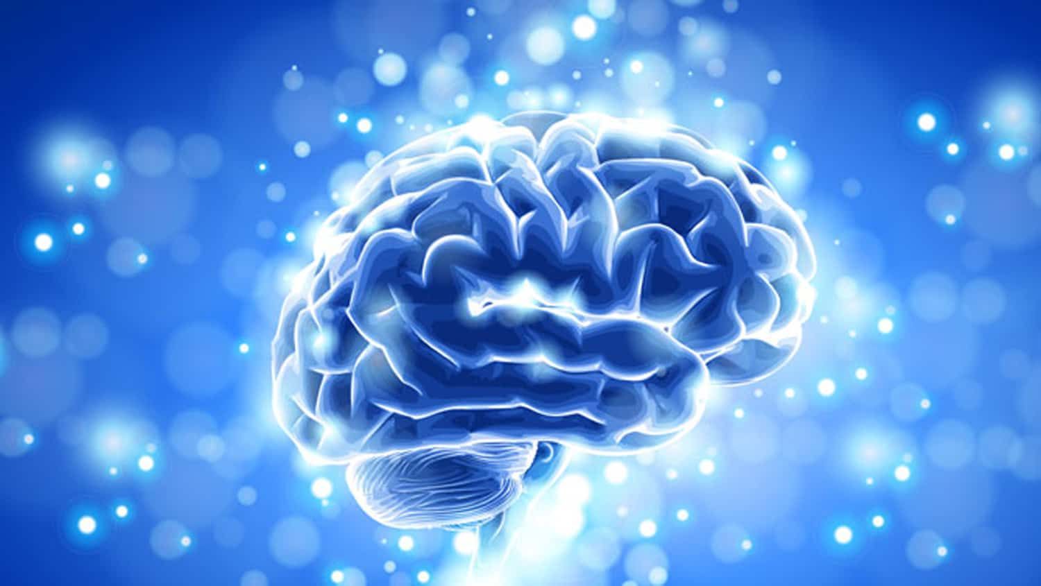 Six Tips to Protect Brain Health