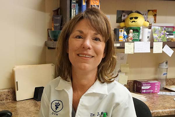 Veterinarian | Louisville, KY | Dixie Animal Hospital