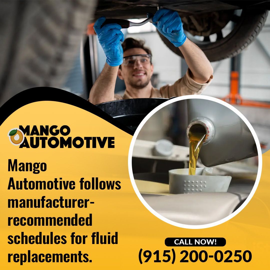 Extend Your Car’s Life: Professional Advice from Mango Automotive ...
