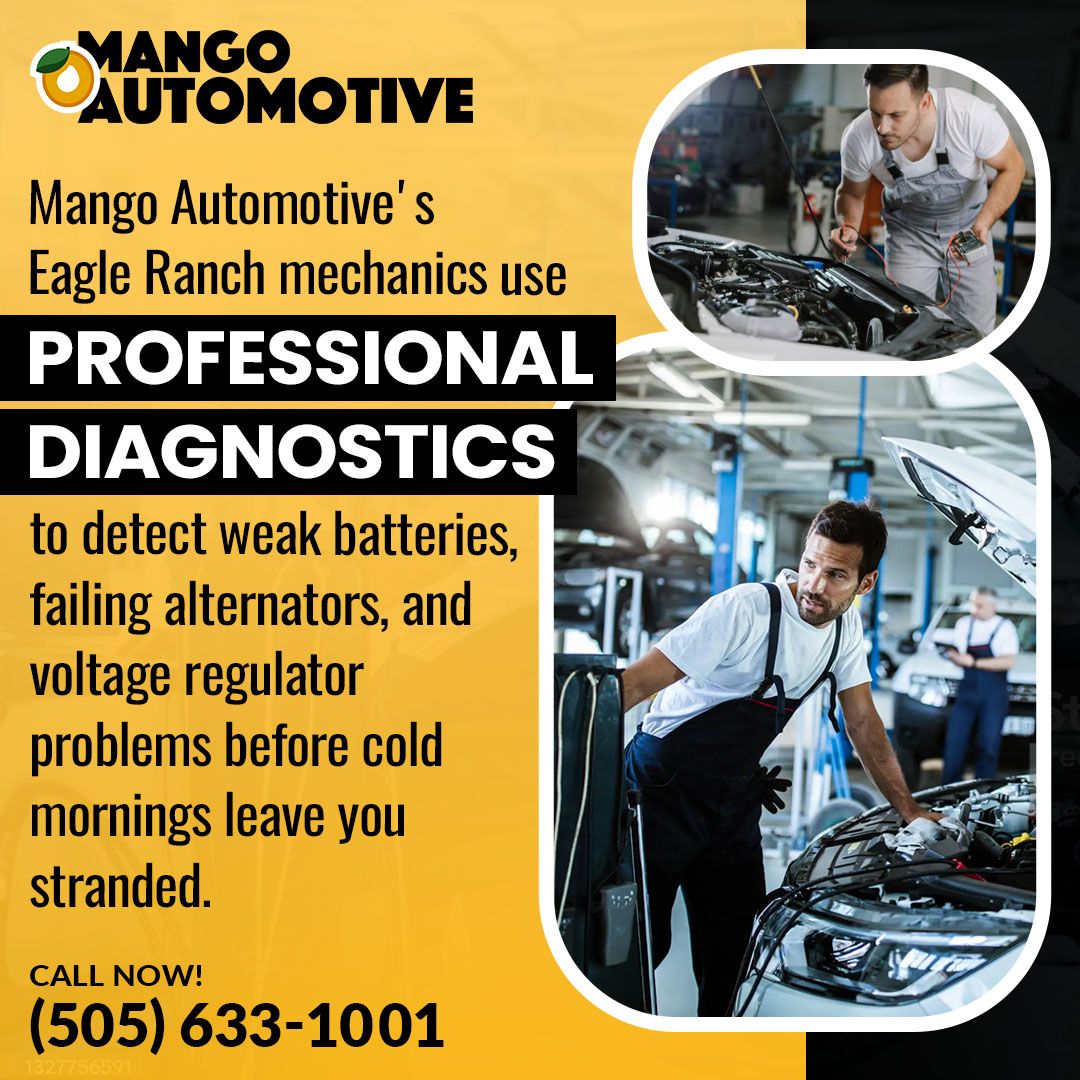 Cold Temperature Effects on Batteries: Guide from Auto Mechanics in ...