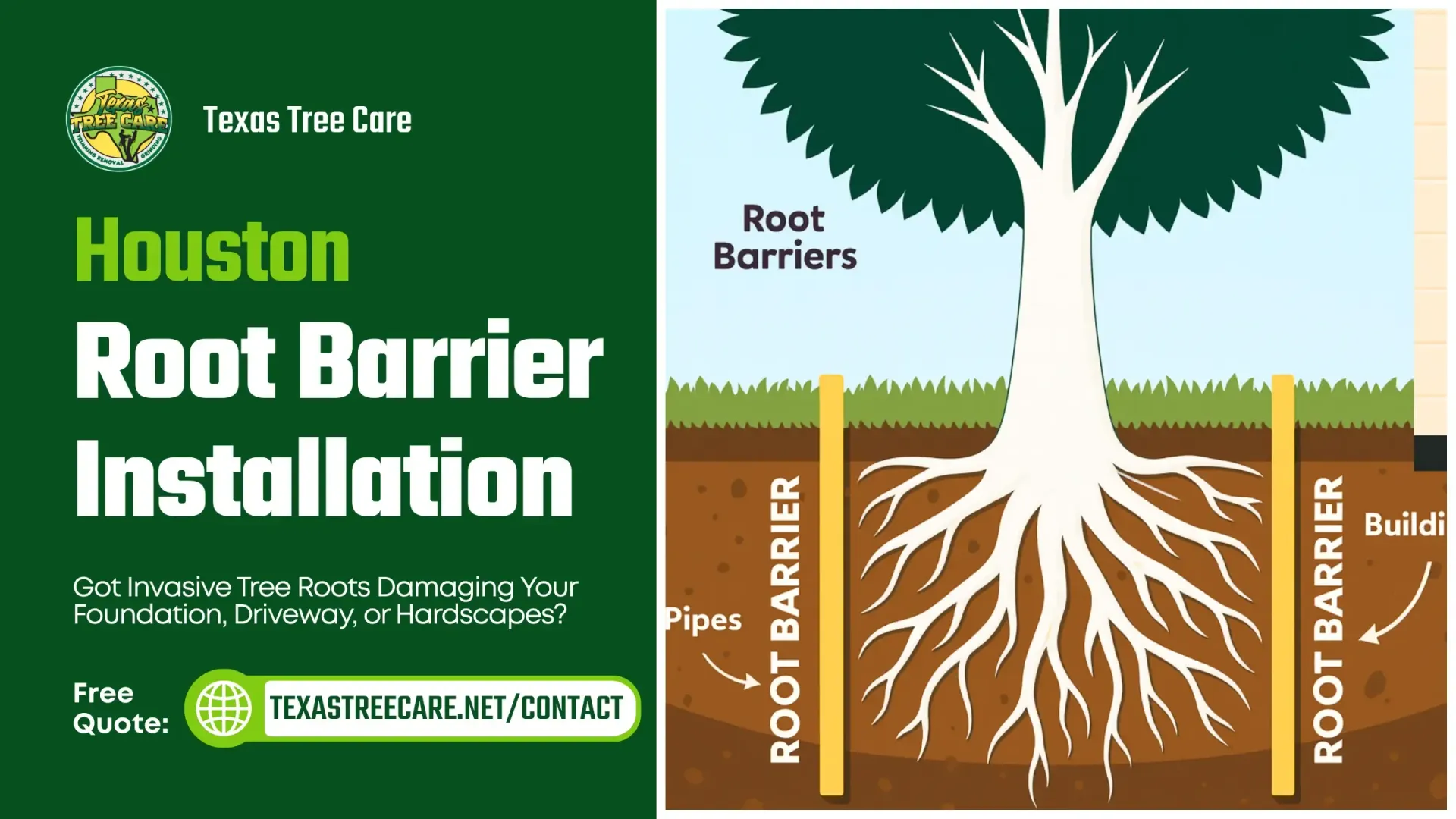 Root Barrier Installation in Houston | Texas Tree Care