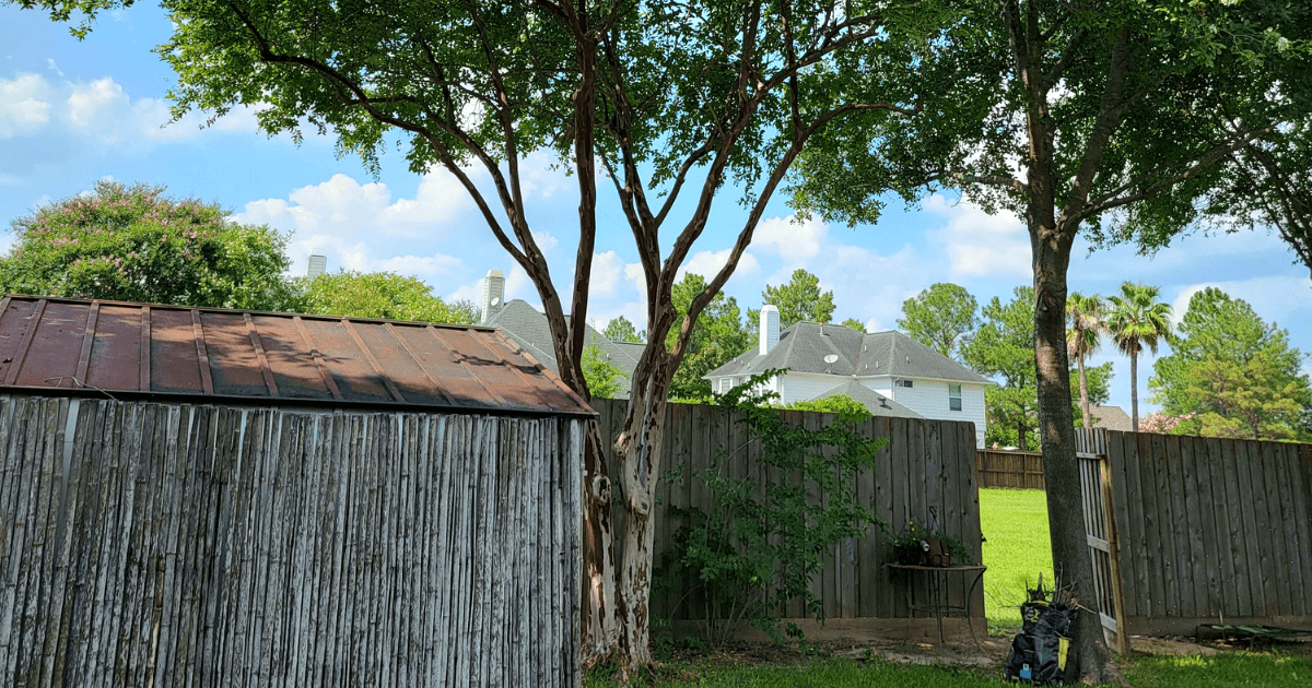 Conroe Tree Service - Local Arborist | Texas Tree Care