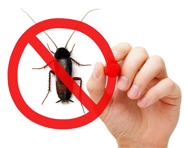 Pest Control Company - Fort Collins, CO - James Pest Control