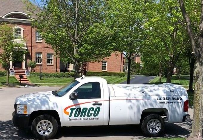 Pest Exterminator | Columbus OH | TORCO