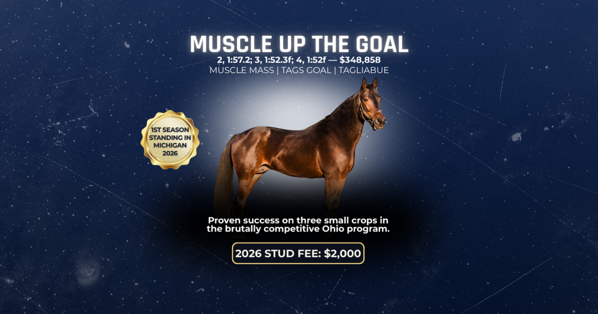 Muscle Up the Goal | Snow Ridge Farm Stallion