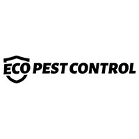 #1 Pest Control Service| Eco Pest Control