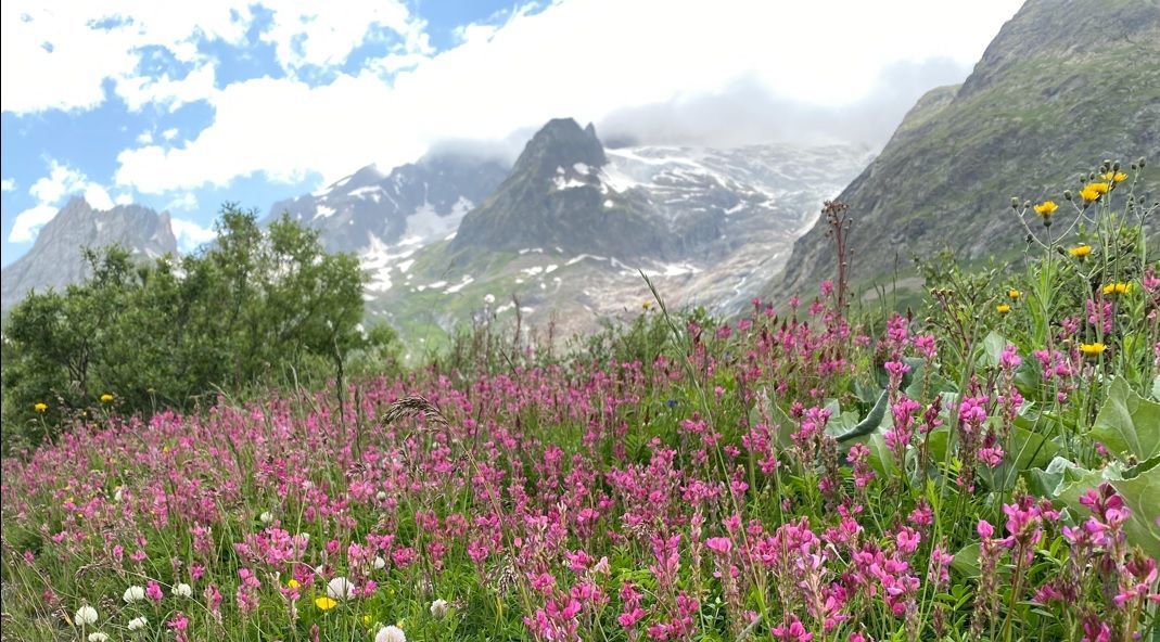 Home | Advocare Gable Medical Group | Willow Grove , PA