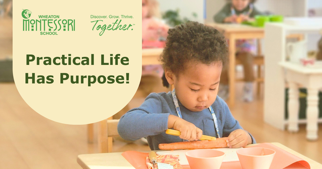 Montessori Materials Practical Life